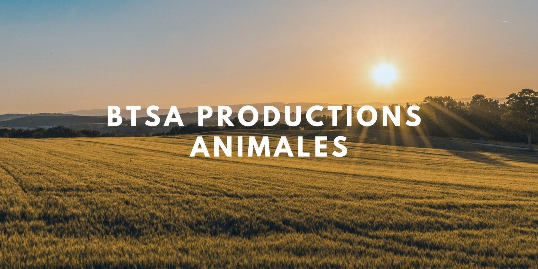 BTSA PA – Productions Animales: matières, débouchés et conseils - Thotis