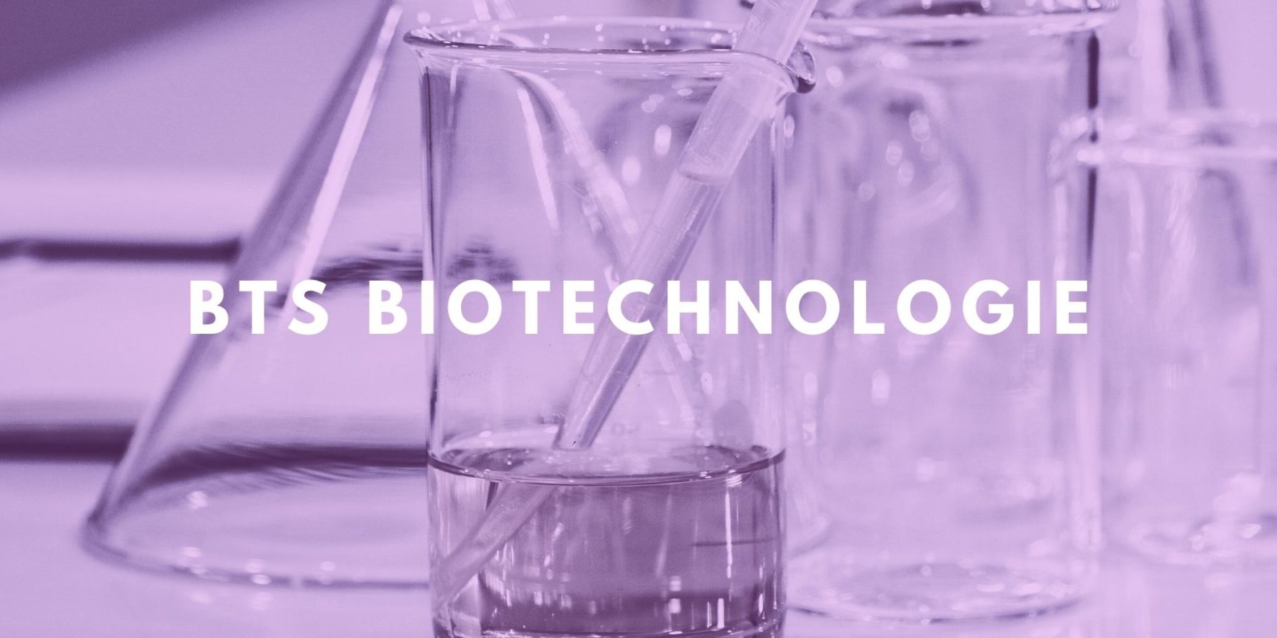 Le BTS Biotechnologie : matières, débouchés et conseils - Thotis