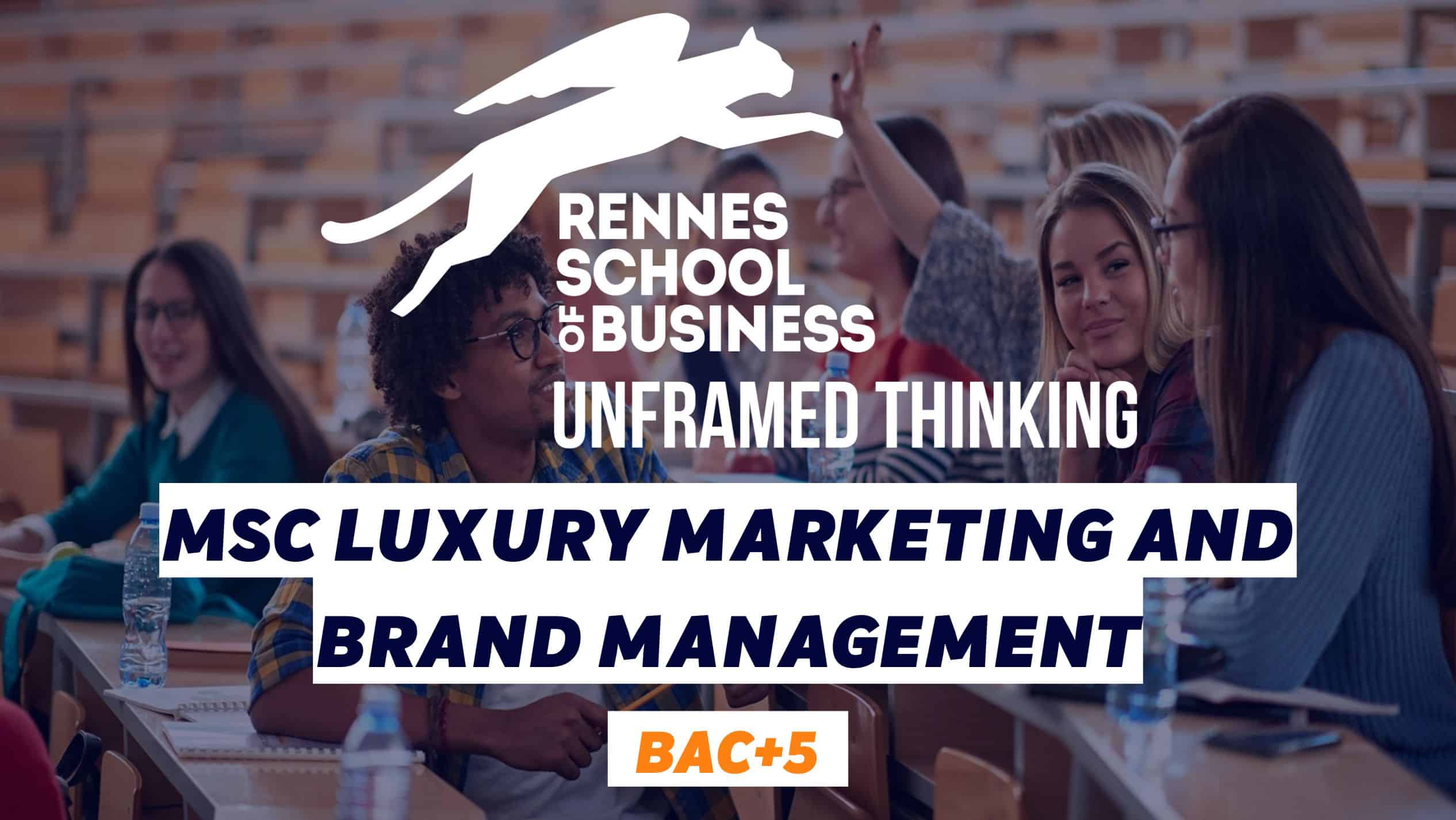 Le MSc Data and Business Analytics de RSB - Thotis